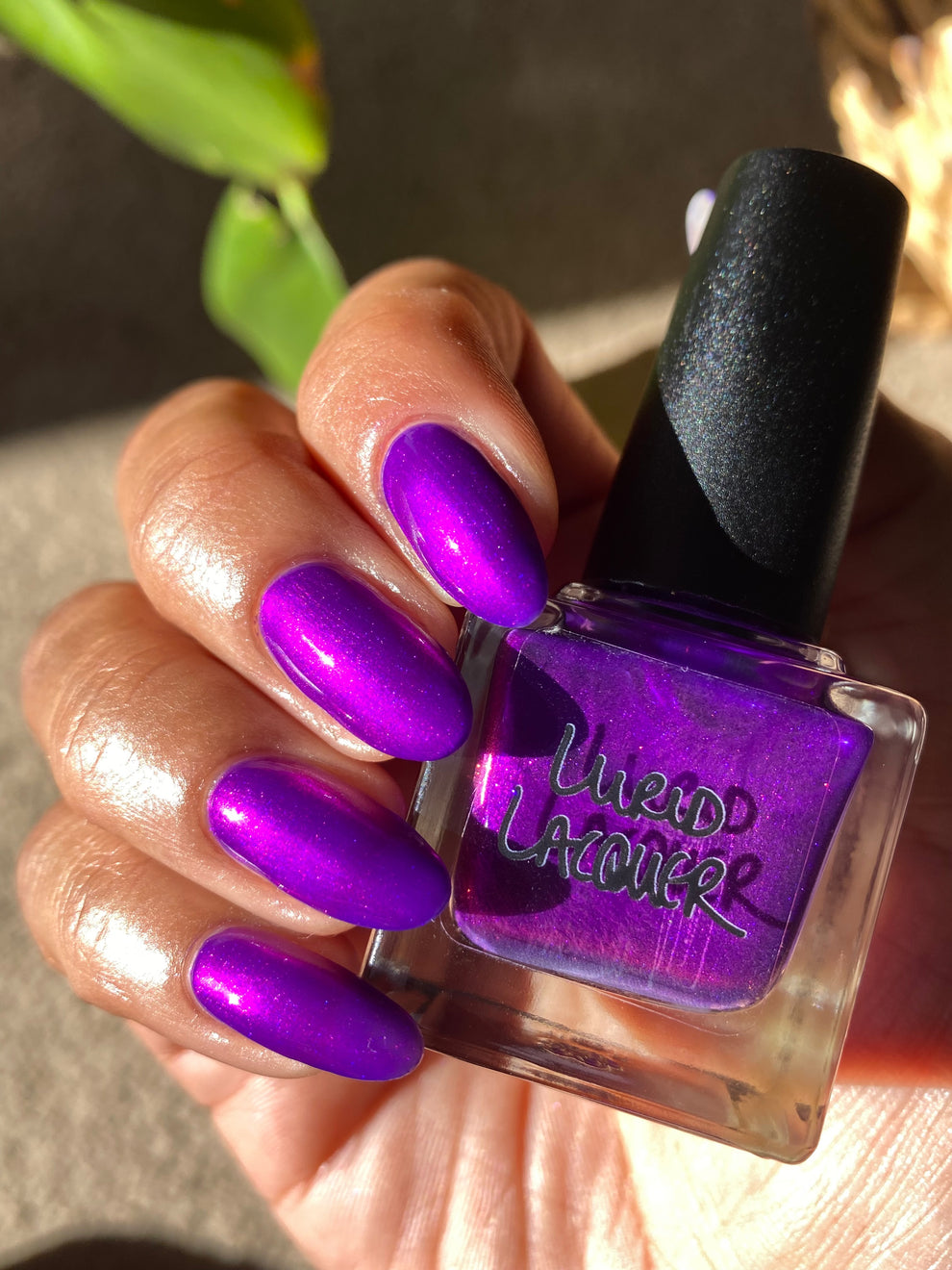 Indomitable – Lurid Lacquer